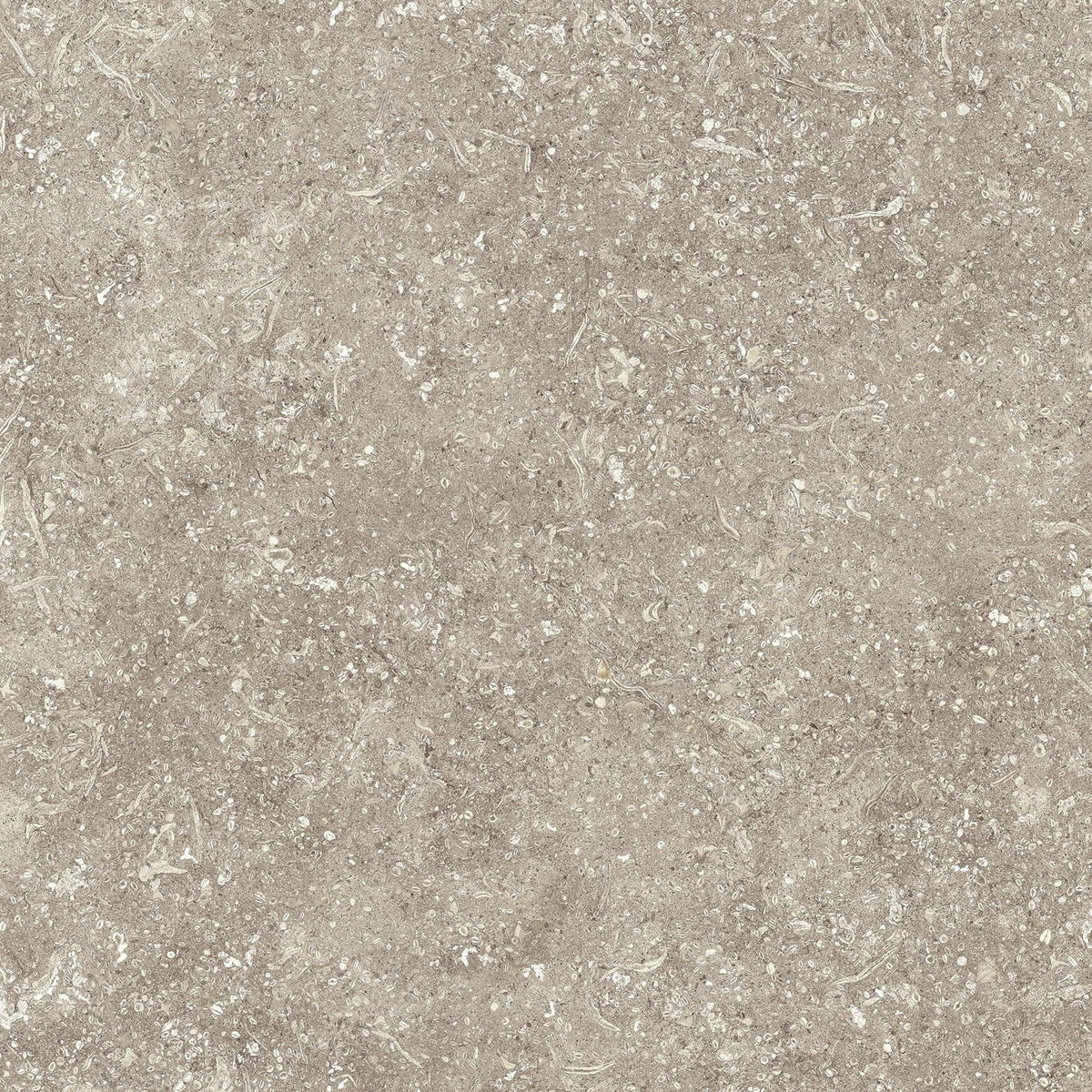 NORD Smoke Matt Italian Porcelain floor tile 60x 60 Pack (IT0058) – TJM ...