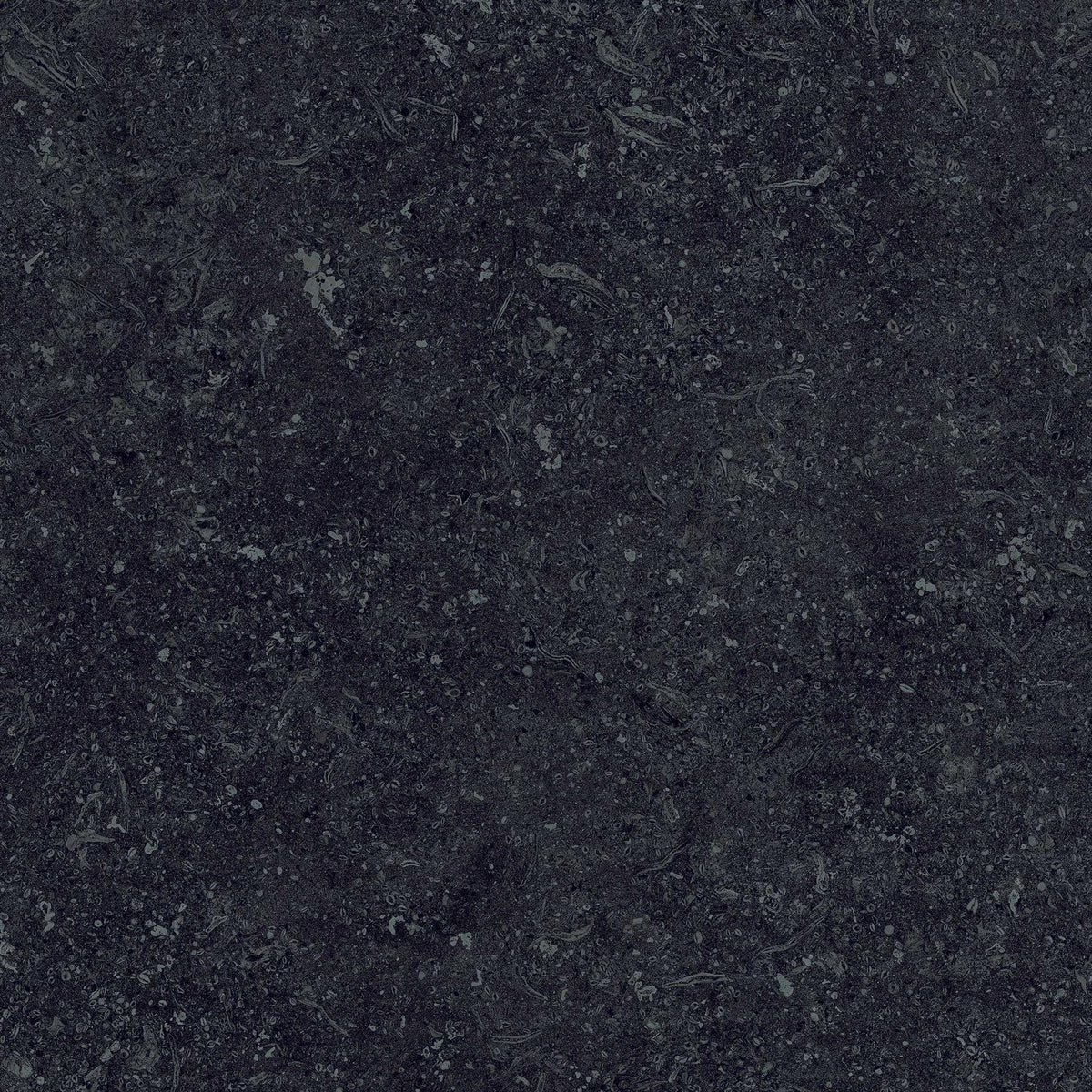 NORD Night Matt Italian Porcelain Tiles 600mm x 600mm (IT0055) – TJM DIRECT